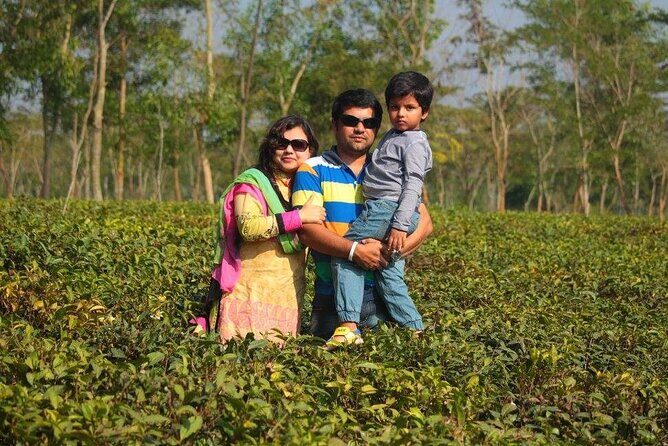 Private Luxury Escape: 2 Day Tea Gardens & Scenic Landscapes - What Makes This Tour Stand Out?