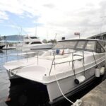 Private Luxury Power Catamaran. Enjoy USVI Aboard MV Hydra - Snorkeling at Buck Island and Other Stops