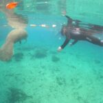 Private Manatee Snorkel Tour with FREE Photo Package - Overview of the Tour Experience