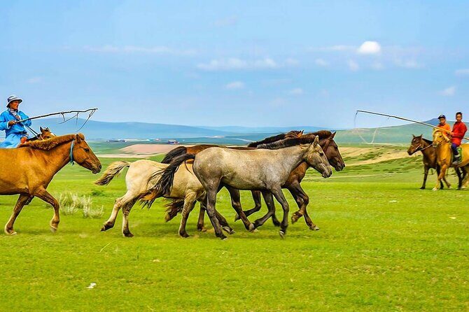 Private Mongolia Tour: 9 Days Genghis Khan Birthplace Exploration - What Makes This Tour Stand Out?