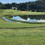 Private Montego Bay Airport Transfer to Negril - What’s the Experience Like?