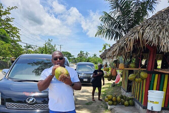 Private Montego Bay Airport Transfer to Negril/Westmoreland Hotel - What the Reviews Highlight