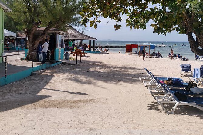 Private Montego Bay Beach Day Tour from Falmouth - What Travelers Can Expect at Each Stop