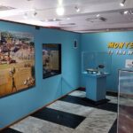 Private Montego Bay City Highlights Tour - Transport, Timing, and Value
