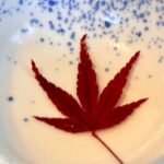 Private Morning Meditation at Kyoto - Detailed Review: What to Expect and Why it Matters