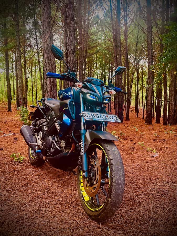 Private Motorbike Passenger Ride to World's End |From Ella - What to Expect on the Day