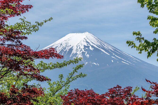 Private Mount Fuji And Hakone Tour with English Guide - Balancing Value and Experience