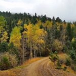 Private Mountain Roads Tour with E Bikes from Denver - Real Traveler Perspectives