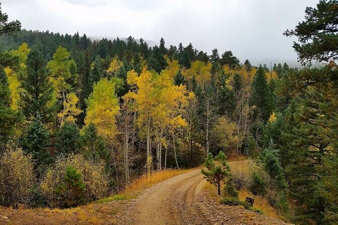 Private Mountain Roads Tour with E Bikes from Denver - Real Traveler Perspectives