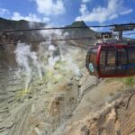 Private Mt. Fuji and Hakone Day Tour with English Speaking Driver - Who Would Love This Tour?