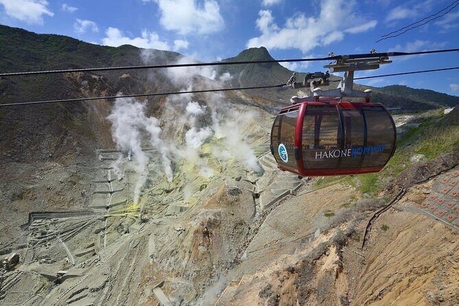 Private Mt. Fuji and Hakone Day Tour with English Speaking Driver - Who Would Love This Tour?