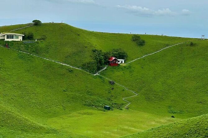 Private Mt Fuji Area Day Trip with English Speaking Driver - The Experience of Traveling in Style and Comfort