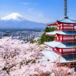 Private Mt. Fuji Day Trip from Tokyo with English-Speaking Driver - The Sum Up