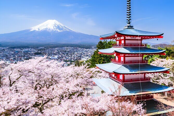 Private Mt. Fuji Day Trip from Tokyo with English-Speaking Driver - The Sum Up