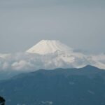 Private Mt Rainier National Park Day Tour Glacier Waterfalls - Who Will Enjoy This Tour?