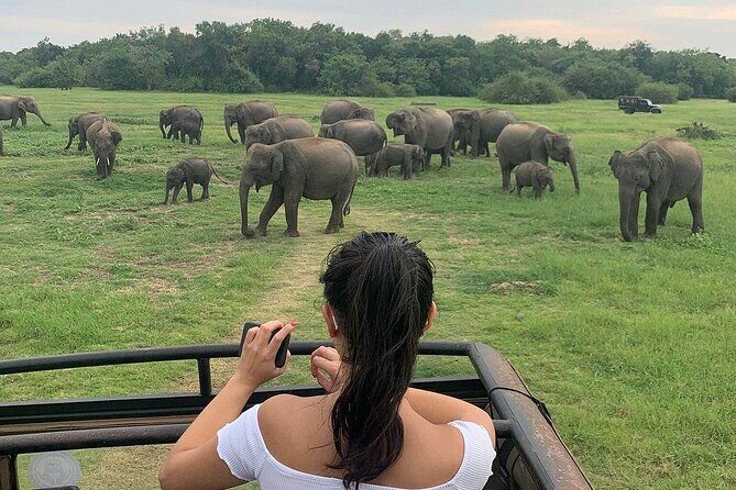 Private Multi Day Sri Lanka Tour with Chauffeur - What This Tour Means for You