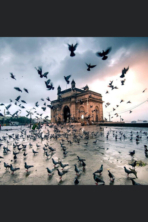 Private Mumbai Elephanta Caves & City Tour - Who Should Consider This Tour?