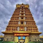 Private Mysore Guided Full Day City Tour - Exploring Mysore in a Day