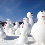 Private Nami Island, Elysian Ski and garden of morning calm Tour - What to Expect: From Start to Finish