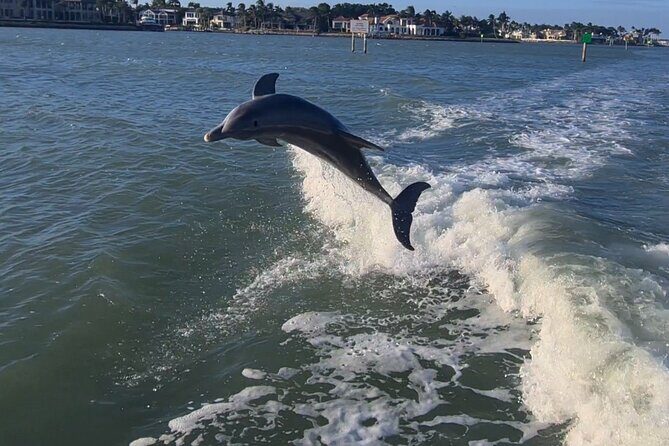 Private Naples Dolphin Watching with breakfast at Port Royal - What to Expect from Your Dolphin Watching Cruise