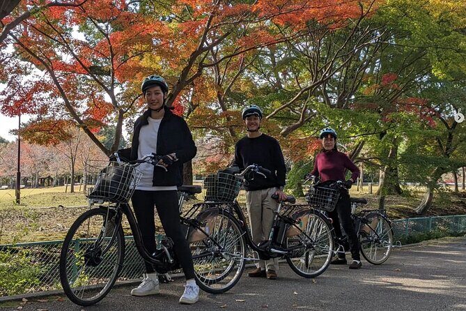 Private Nara E-bike - Family Tour with Lunch - Practical Details and Considerations