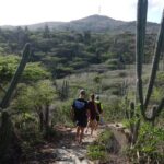 Private nature tour: Aruba's highest point & pristine coral reef - Practical Details & Considerations