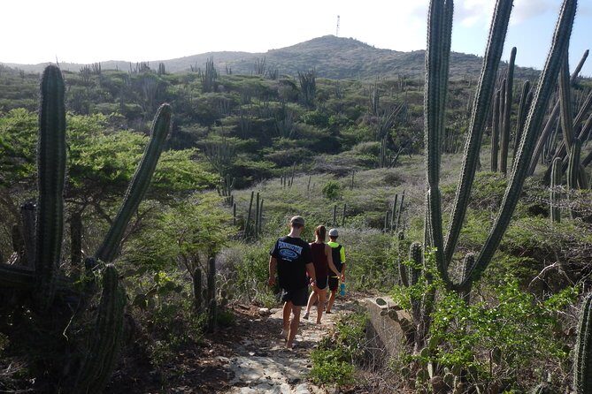 Private nature tour: Aruba's highest point & pristine coral reef - Practical Details & Considerations