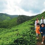 Private Nature Trip to Cameron Highlands from Kuala Lumpur - Authentic Experiences and Local Flavors