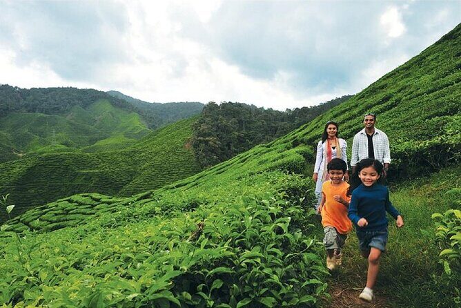 Private Nature Trip to Cameron Highlands from Kuala Lumpur - Authentic Experiences and Local Flavors