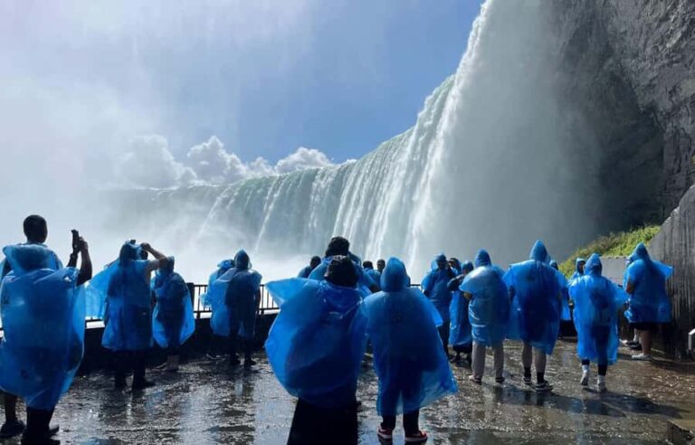 Private Niagara Falls Tour Package For Small or Large Groups - What Reviewers Say