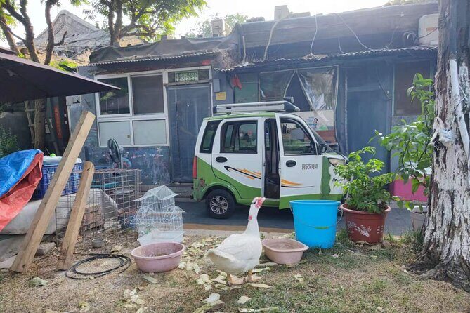 Private Night Walking Tour in Qianmen Street and Tiananmen Square - Practical Details and Value