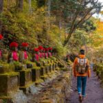 Private Nikko Day Trip from Tokyo  UNESCO Shrines & Nature - An Overview of the Experience