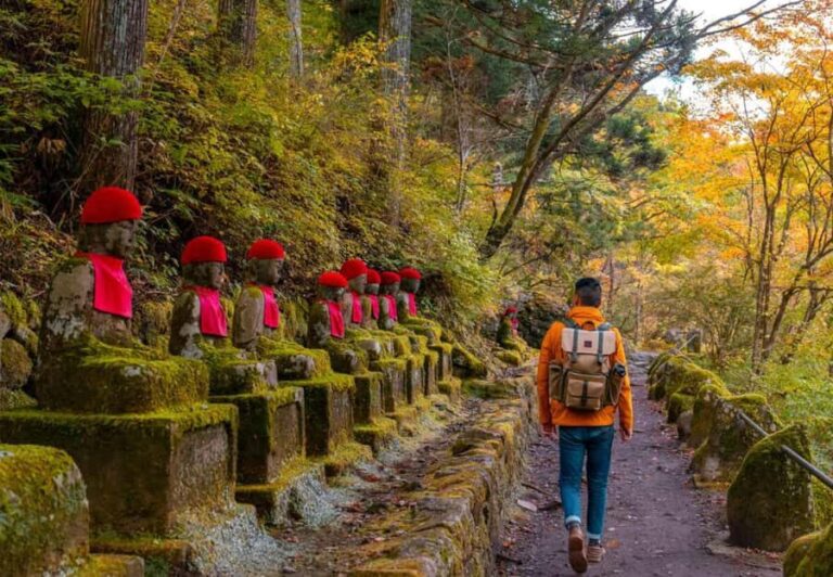 Private Nikko Day Trip from Tokyo  UNESCO Shrines & Nature - An Overview of the Experience