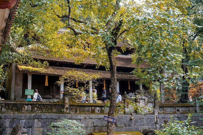 Private Ninh Binh Day Trip: Trang An & Bich Dong - Lunch and Rest at Trang An