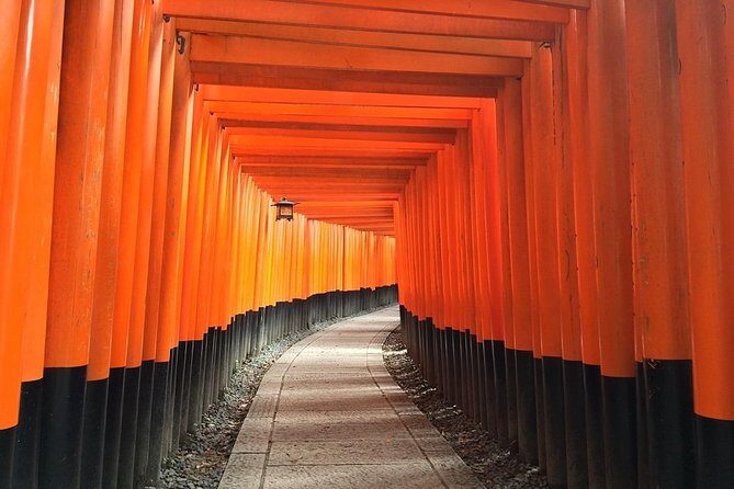 Private Noah Hire in Osaka city with English Speaking Driver - Detailed Walkthrough of the Itinerary