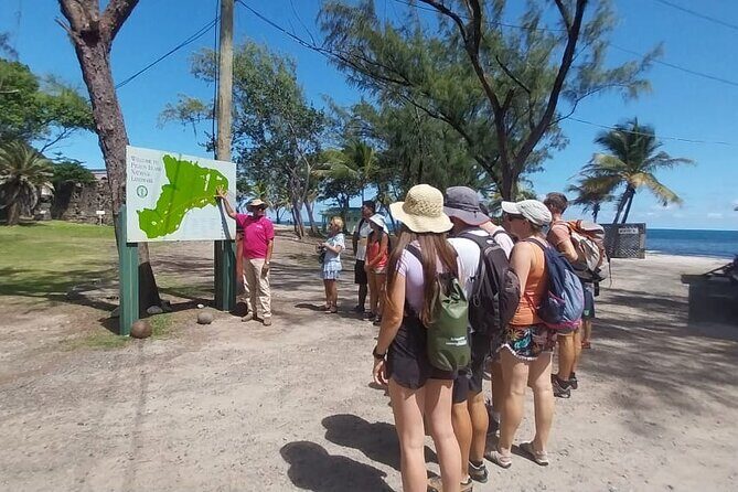 Private Northern Saint Lucia Tour - The Sum Up: Who Should Consider This Tour?