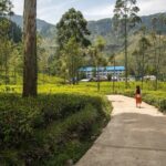 Private Nuwara Eliya Day Trip from Colombo  All Inclusive - Behind the Scenes: What Travelers Say