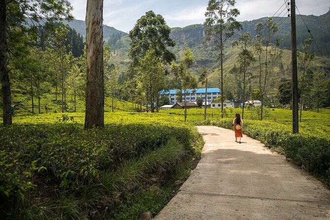 Private Nuwara Eliya Day Trip from Colombo All Inclusive - Behind the Scenes: What Travelers Say