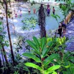 Private Ocho Rios highlight tour - The Bottom Line