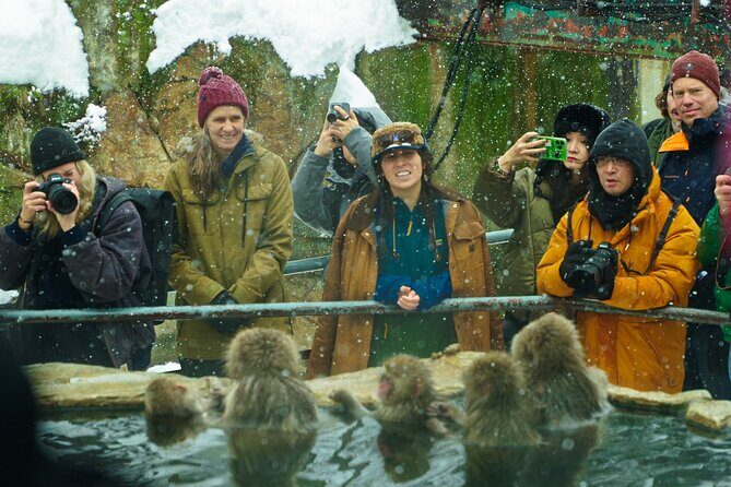 Private One-Day Everything Tour in Nagano or Matsumoto - The Cost and Value of This Tour