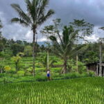 Private One-Day Tour: Authentic Tete Batu & Sukarara Village - An In-Depth Look at the Tour Experience
