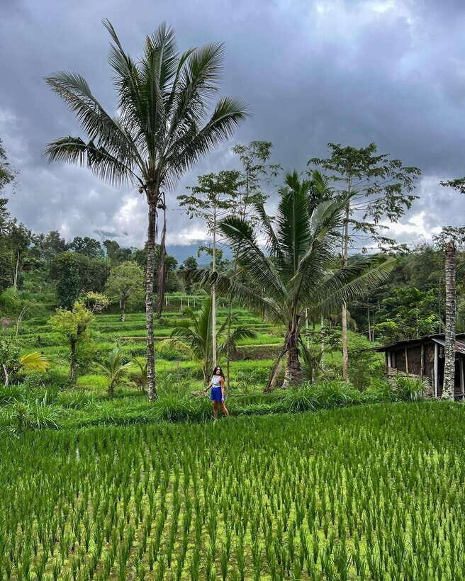 Private One-Day Tour: Authentic Tete Batu & Sukarara Village - An In-Depth Look at the Tour Experience