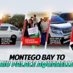 Private One-Way Airport Transfer to RIU Palace Aquarelle - Transportation Options and Value