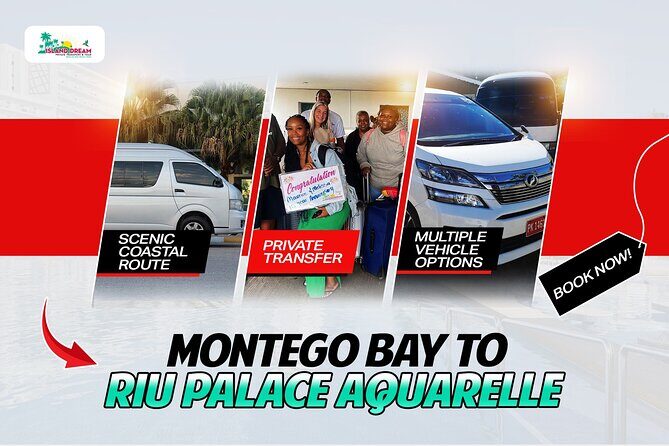 Private One-Way Airport Transfer to RIU Palace Aquarelle - Transportation Options and Value