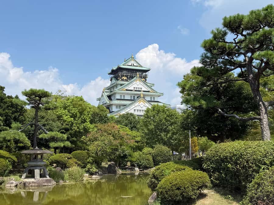 Private Osaka Castle and Hokoku Shrine with Local Guide - What Makes This Tour Special?