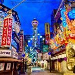 Private Osaka Night Tour: Local expert Guide & Hidden Gems - A Closer Look at the Osaka Night Tour