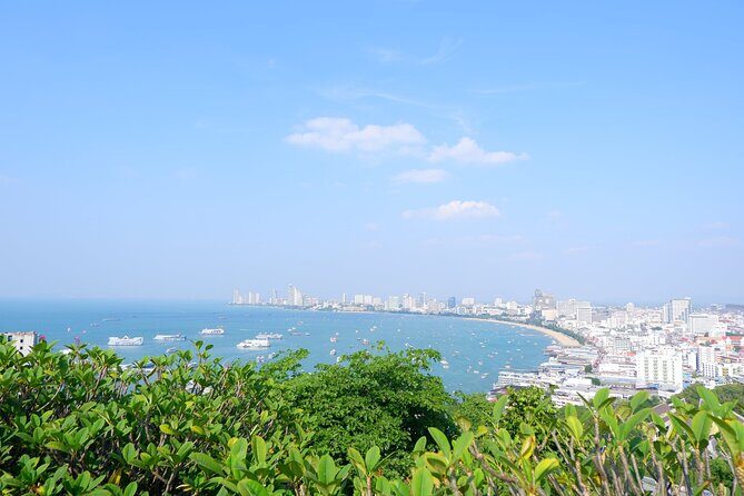 Private Pattaya City Tour with Sanctuary of Truth from Bangkok - Who Should Consider This Tour?