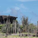 Private Photography Tour - Reviews and Real Experiences