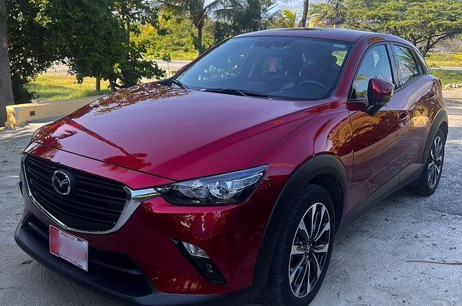 Private Pick Up or Drop Off in Aruba - Breaking Down the Itinerary and Stops