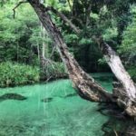 Private: Playa Rincón Samaná Levantado Full-Day Excursion - Transportation, Timing, and Value